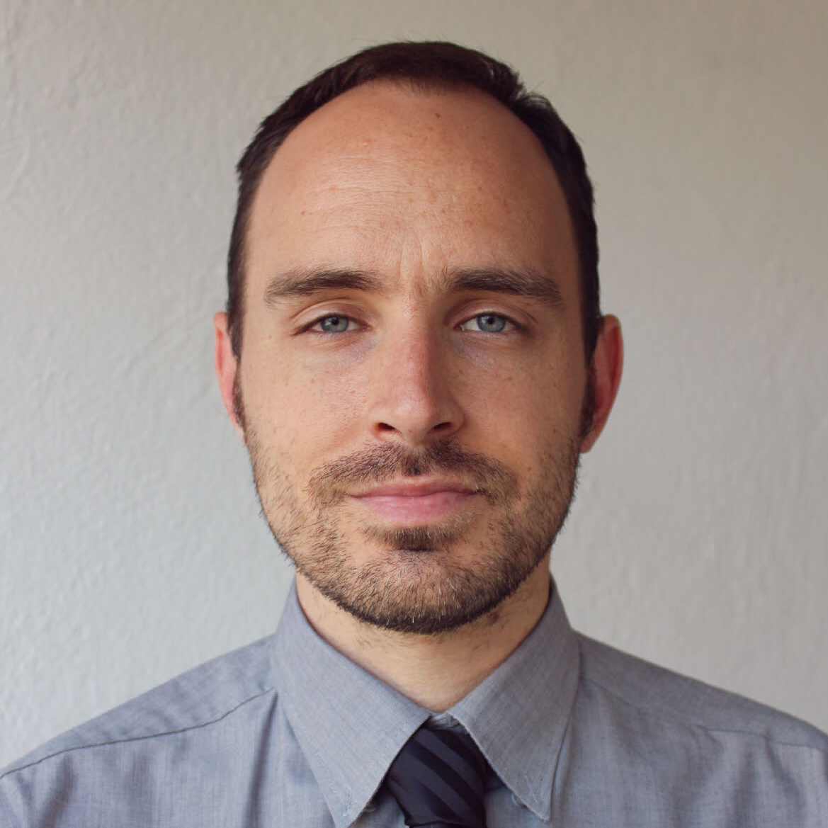 Wael Research Fellowship - International Atherosclerosis Society